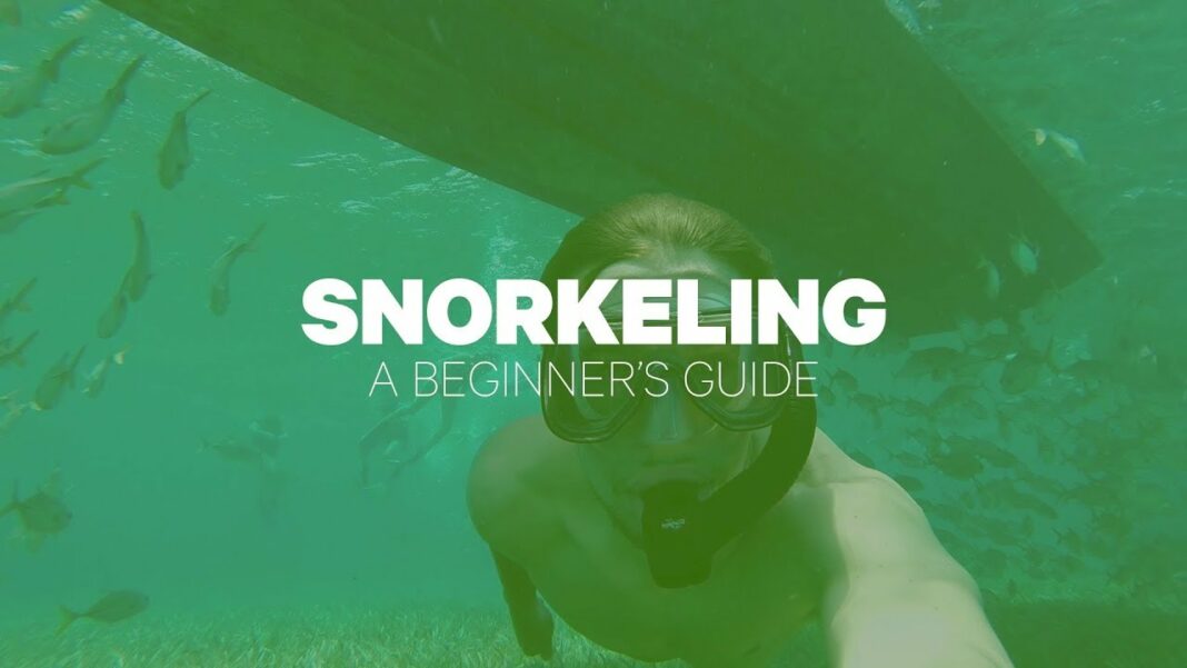 How to Snorkel For Beginners – 7 Tips To Snorkel Like A Pro | Cruising Sea