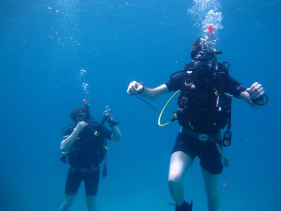 Scuba Diving Charter Holidays – An Unique Getaway! | Cruising Sea