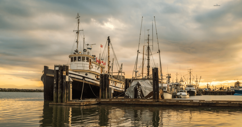 10 Fascinating Facts About Boats - That Will Astonish You!